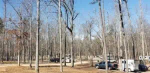 Camp McClellan Horse Trails Campground